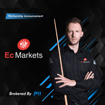 P11 Group - Current Openings