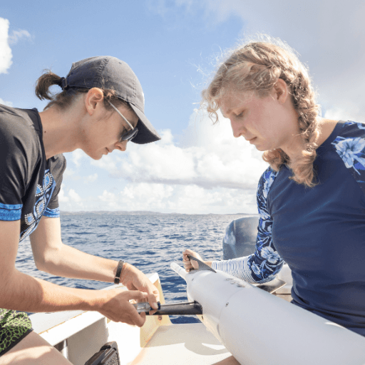 Hefring Engineering - Current Openings