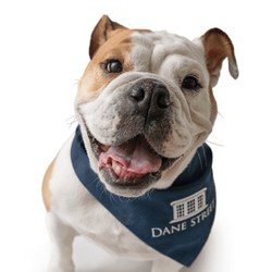 Dane Street, LLC - Current Openings